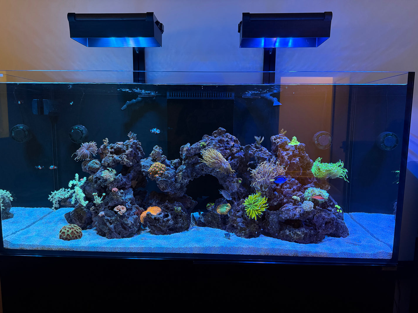 AquaIllumination Hydra Edge 44HD Light Shade – Printed Reef