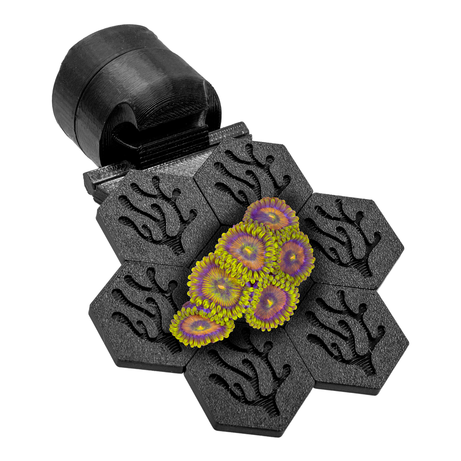 FragLoc™ - Magnetic Coral Frag Rack with Innovative Secure Plug Design ...