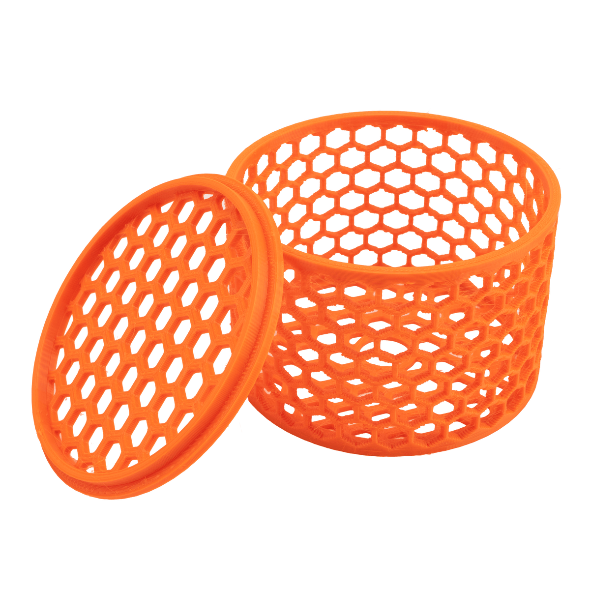 Mushroom Cage for Corals - Ultimate Protection | Printed Reef